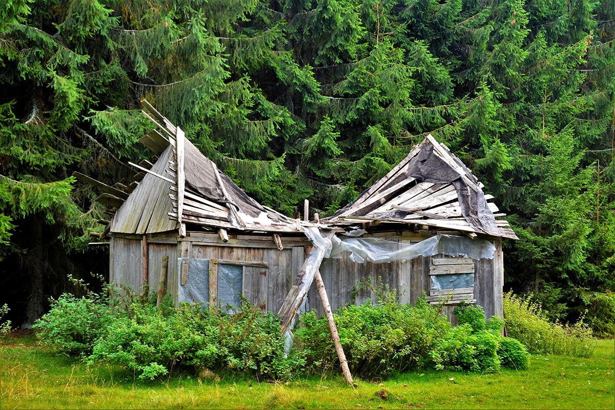 Shed Removal Townsend DE - Hassle-free Shed Removal - MKO Hauling ...